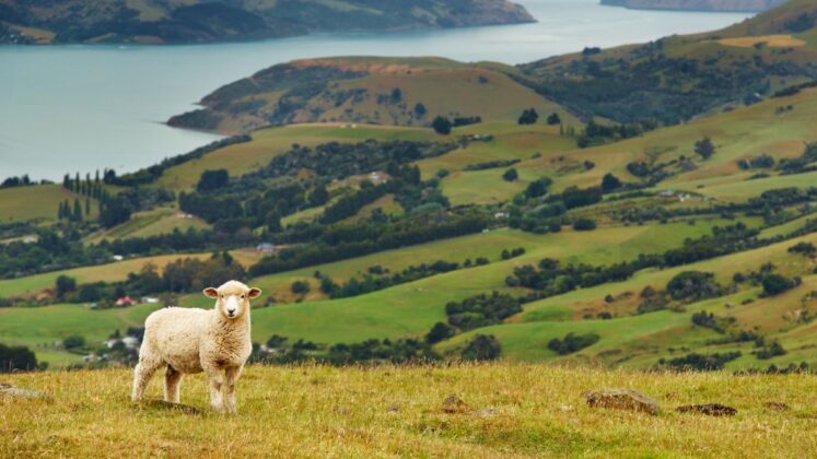 2024 Travel Trends To Watch Travel Wanderlust